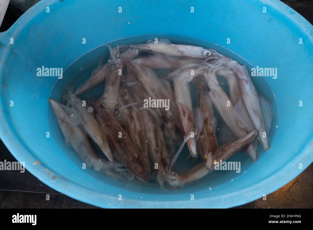 Fresh seafood, fish on ice at the fish market Stock Photo - Alamy