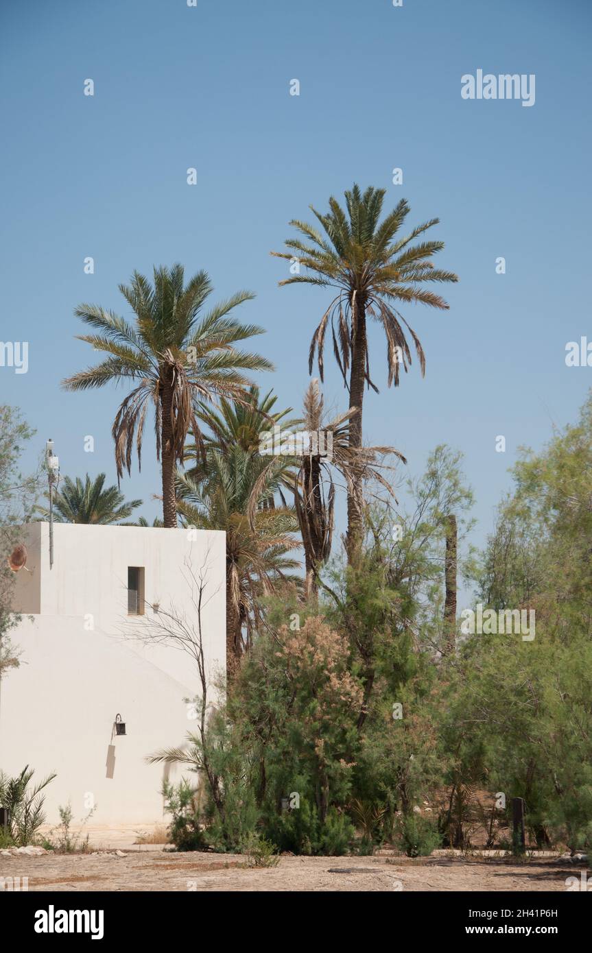 View near where Christ was Baptised, River Jordan, Bethany, Jordan ...