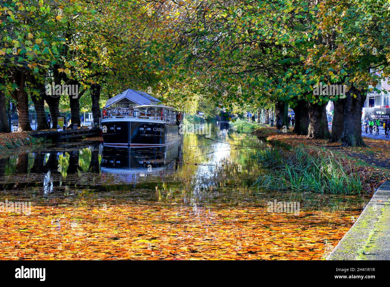 Autumn at Grand Canal, Dublin, Ireland with barges and trees reflected ...