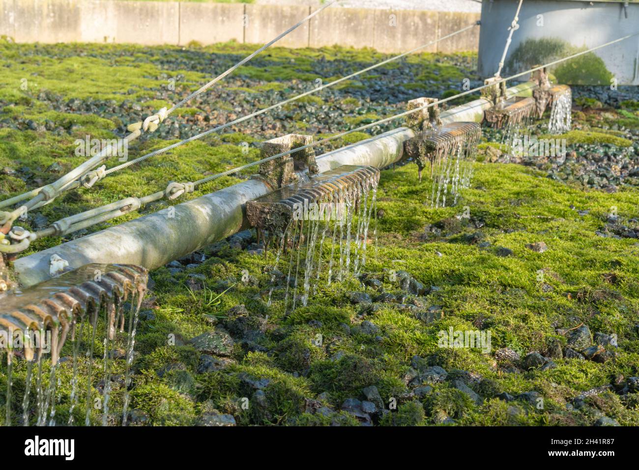 Rotary arm turning over biological filter bed, sewage treatment works ...