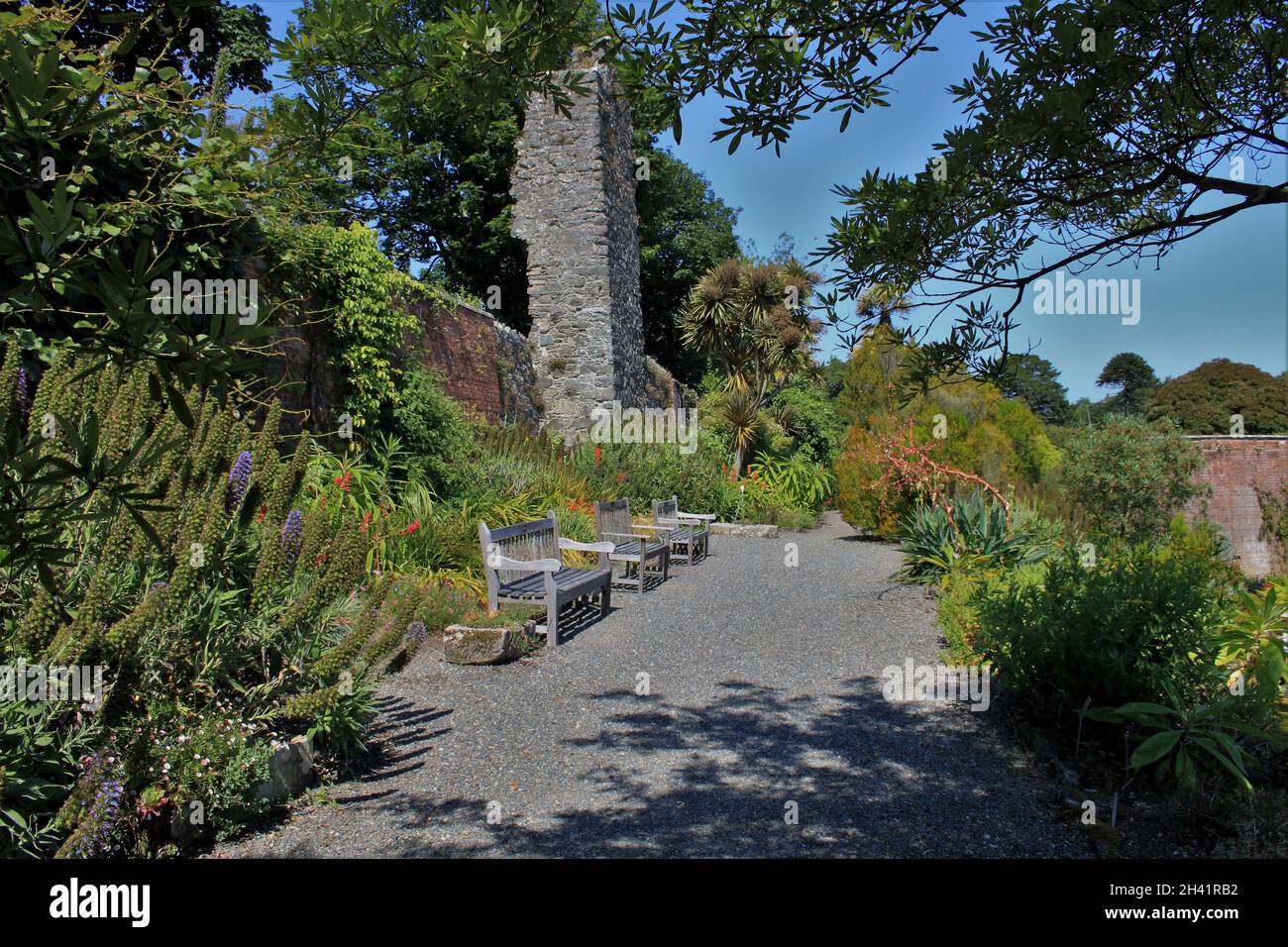 Logan Botanic Gardens - Scotland Stock Photo - Alamy
