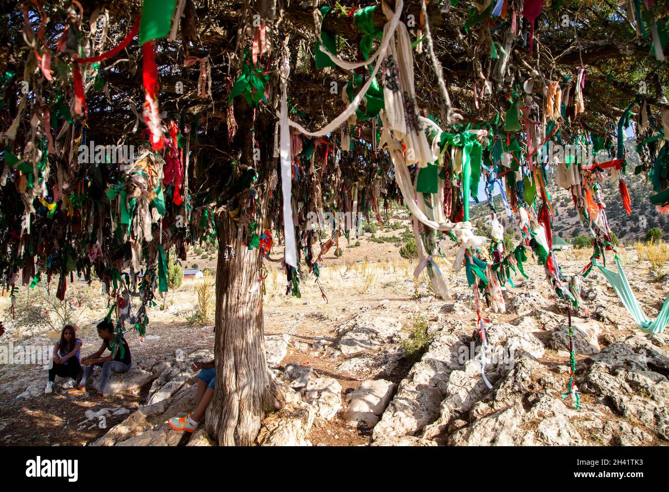 Alevi hi-res stock photography and images - Alamy
