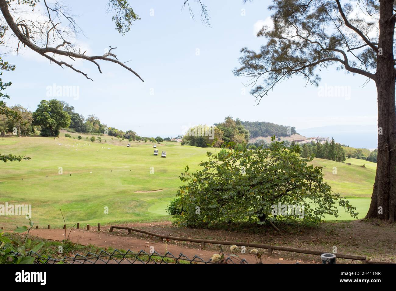 Portugal madeira funchal peace hi-res stock photography and images - Alamy