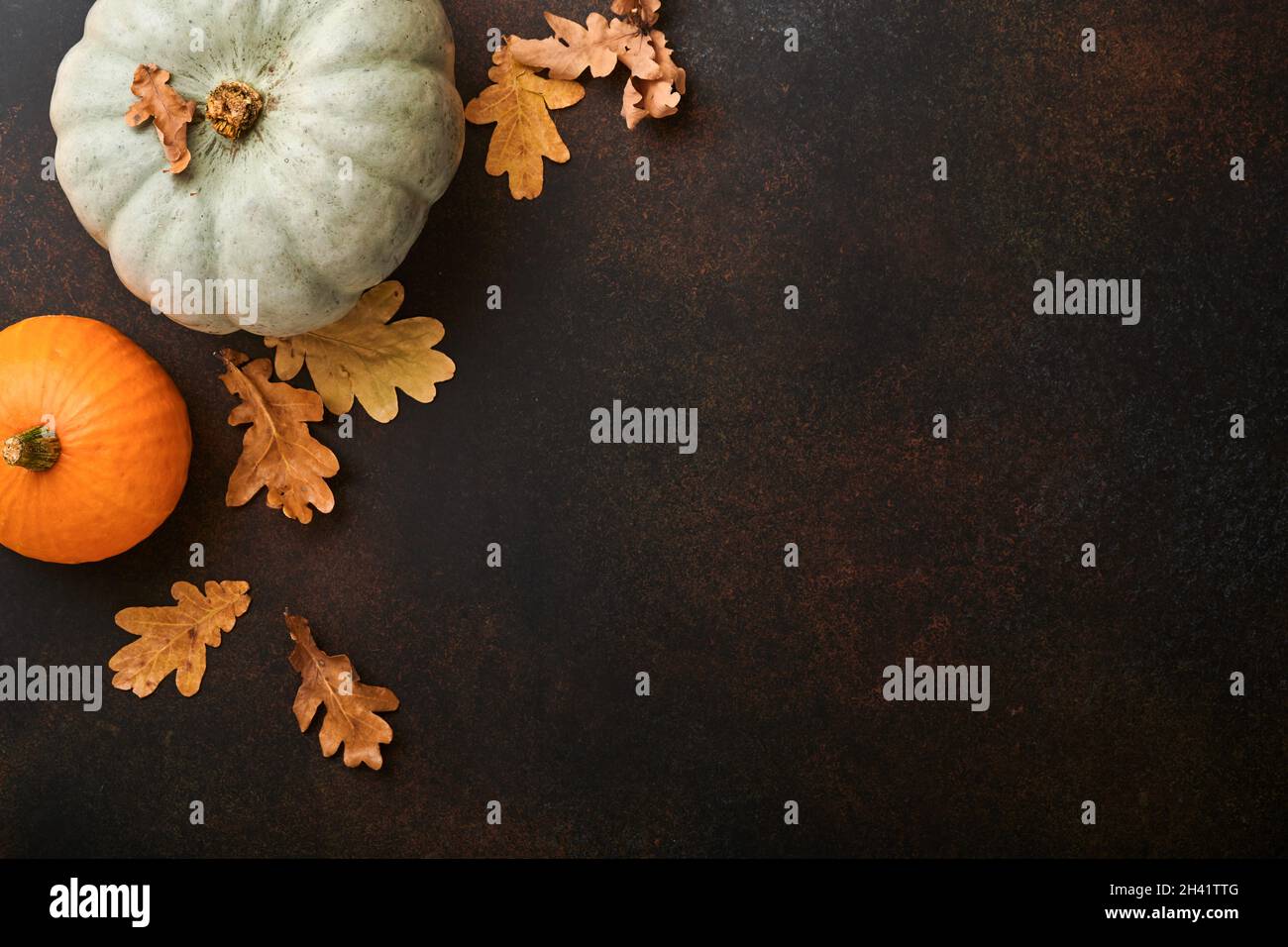 Pumpkin. Autumn food background with cinnamon, nuts and seasonal spices ...