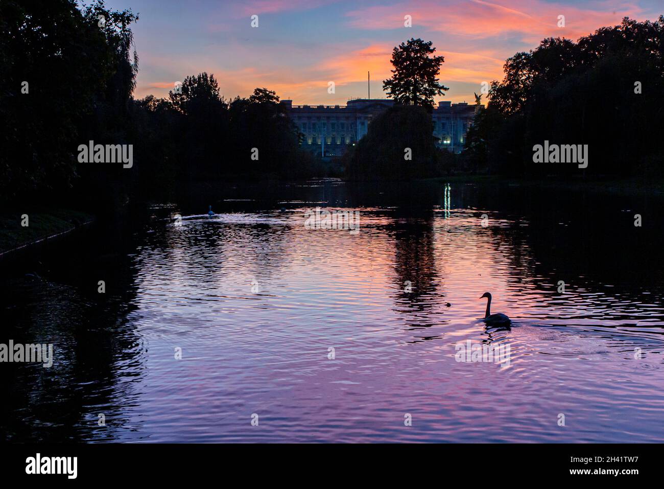 A beautiful sunset over Buckingham Palace and St James Park in lthe ...