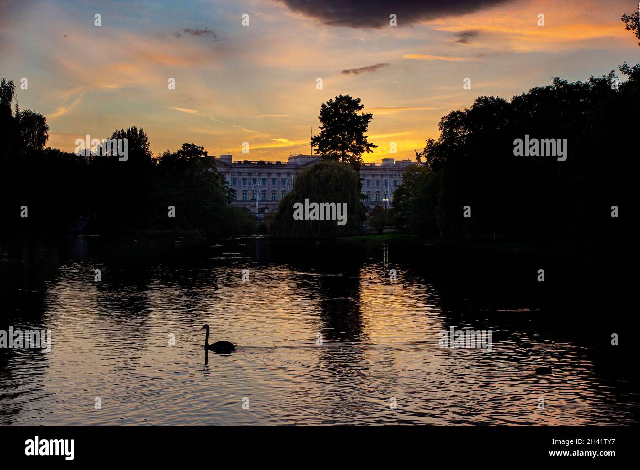 A beautiful sunset over Buckingham Palace and St James Park in lthe ...