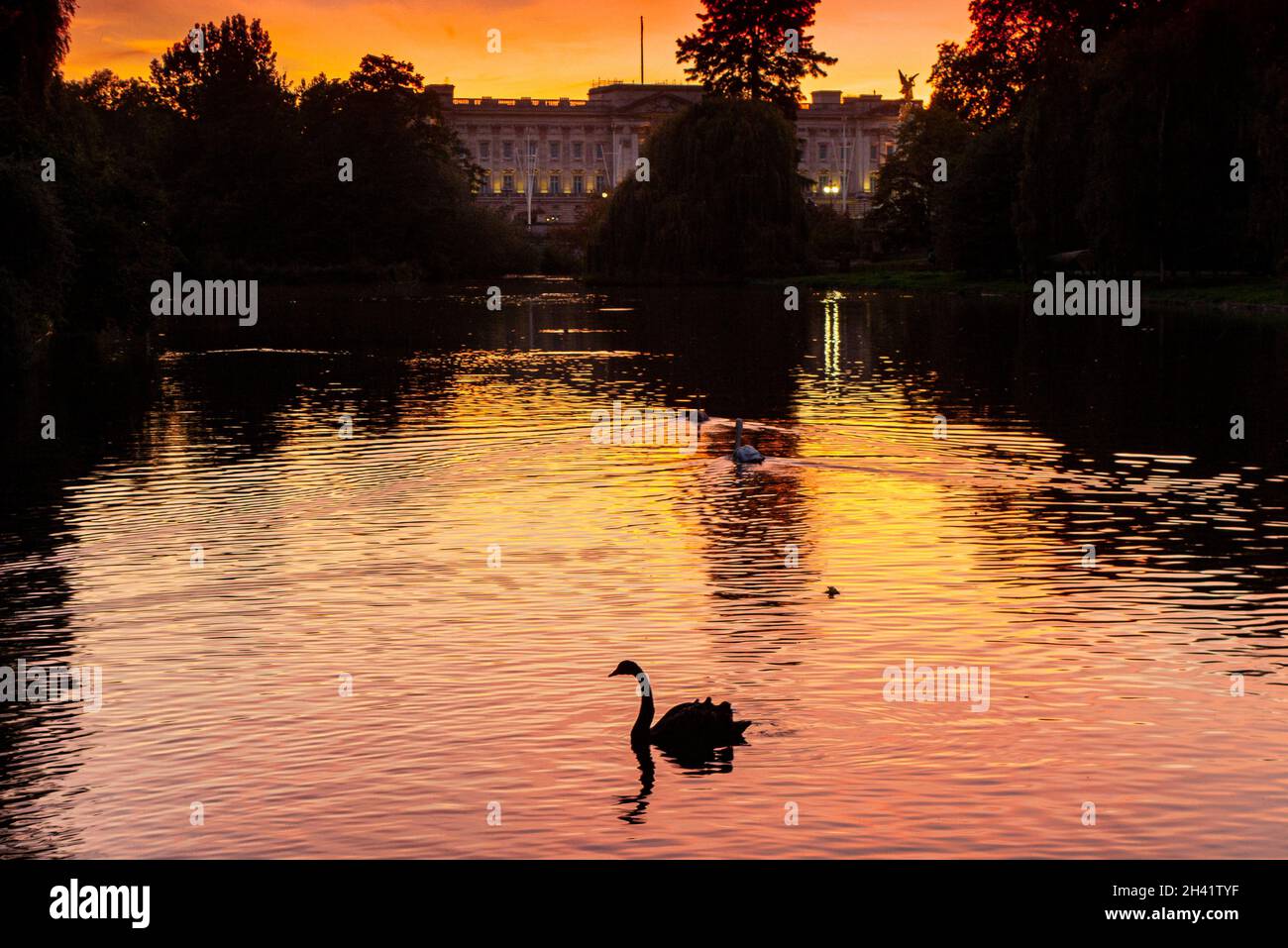 Sunset behind buckingham palace hi-res stock photography and images - Alamy