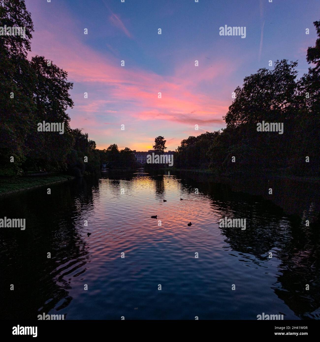 A beautiful sunset over Buckingham Palace and St James Park in lthe ...
