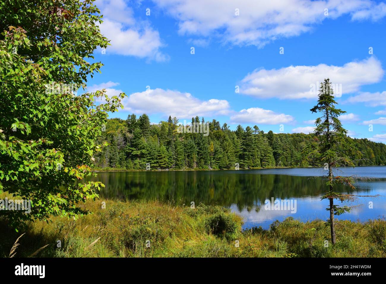 Rock in algonquin provincial park hi-res stock photography and images ...