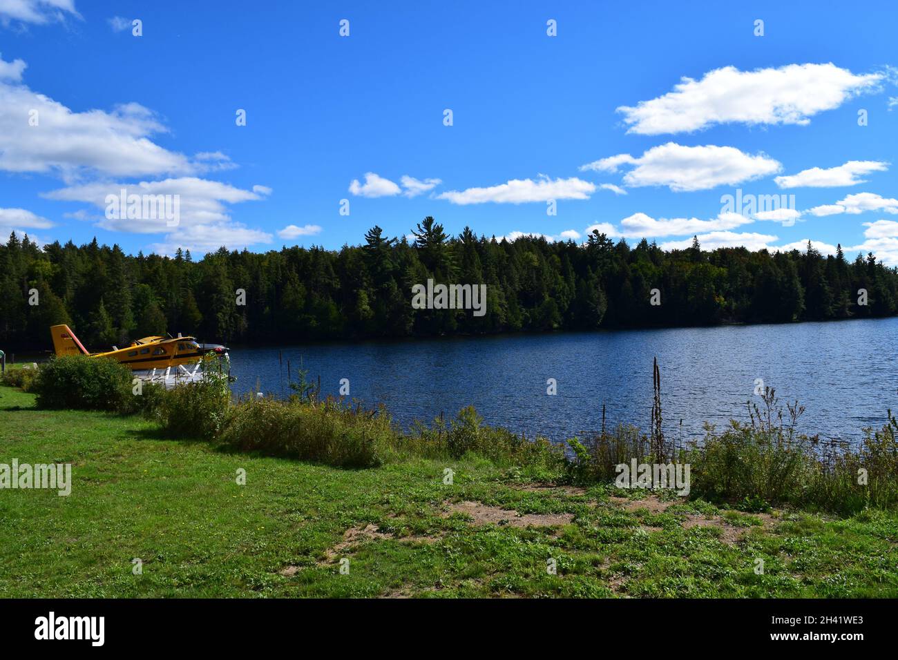 Water plane taking off from a lake in Canada Stock Photo - Alamy
