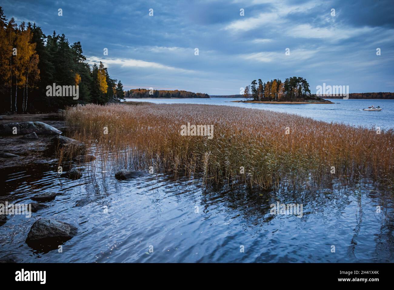 Vyborg lake forest hi-res stock photography and images - Alamy