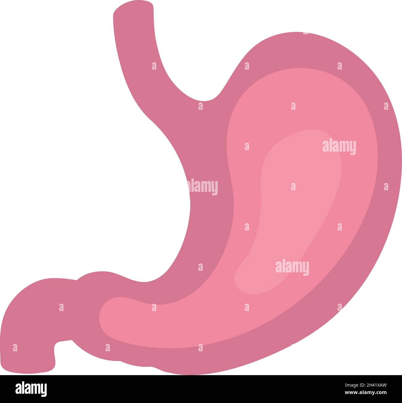 Vector human stomach icon isolated on white background. Vector ...