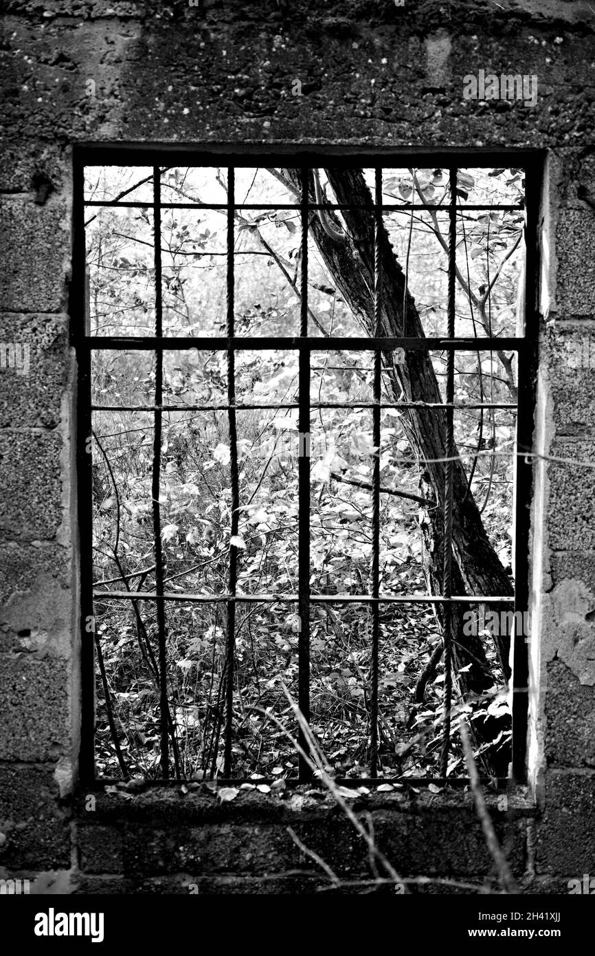 Metal grid window Black and White Stock Photos & Images - Alamy