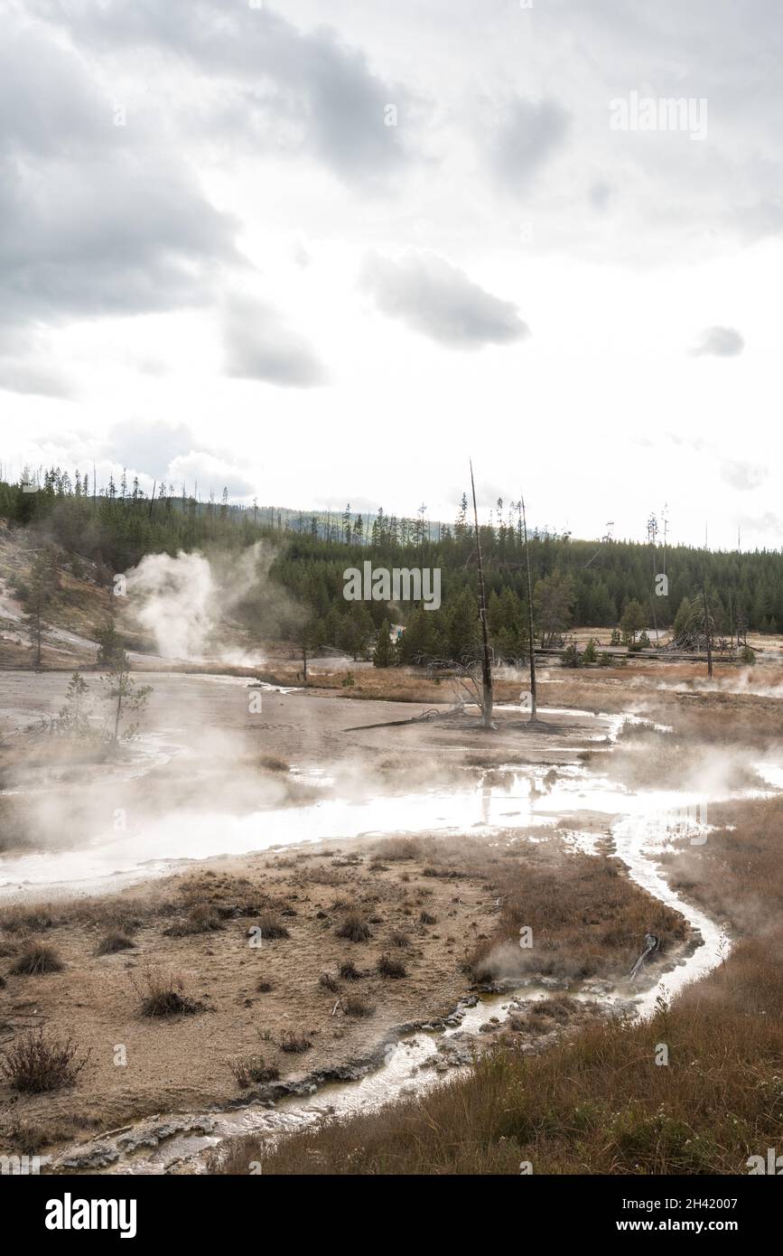 Steaming Mud Pod Area in famous Yellowstone National Park, USA Stock ...