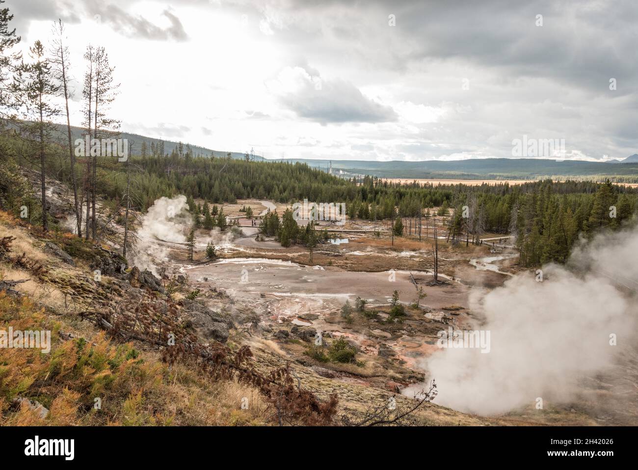 Steaming Mud Pod Area in famous Yellowstone National Park, USA Stock ...