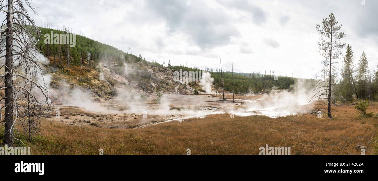 Steaming Mud Pod Area in famous Yellowstone National Park, USA Stock ...
