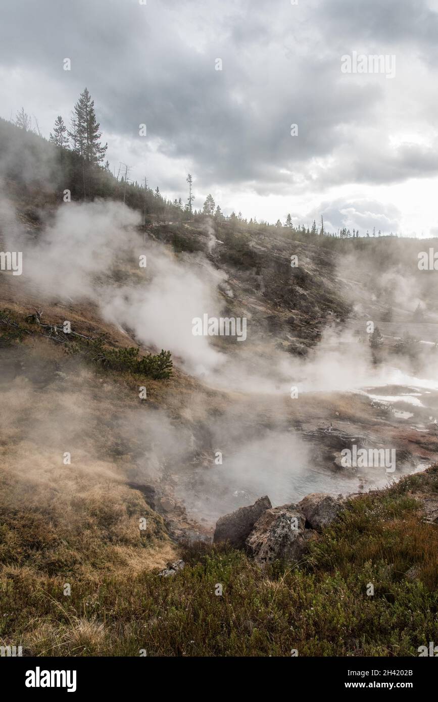 Steaming Mud Pod Area in famous Yellowstone National Park, USA Stock ...