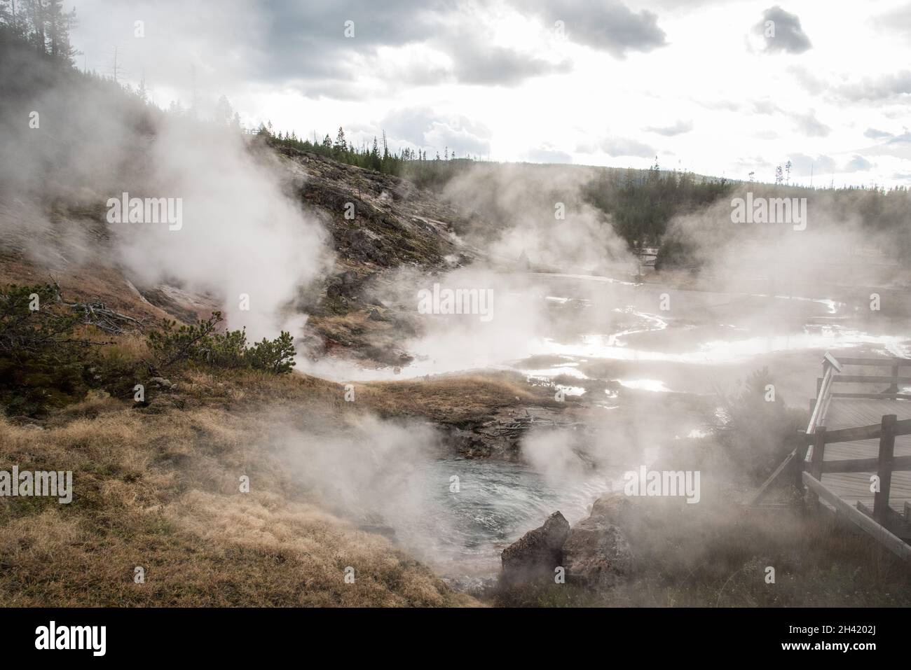 Steaming Mud Pod Area in famous Yellowstone National Park, USA Stock ...