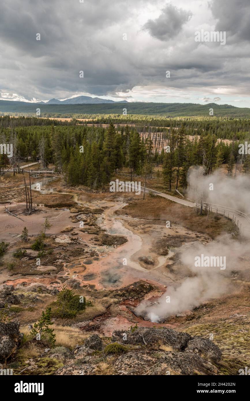 Steaming Mud Pod Area in famous Yellowstone National Park, USA Stock ...