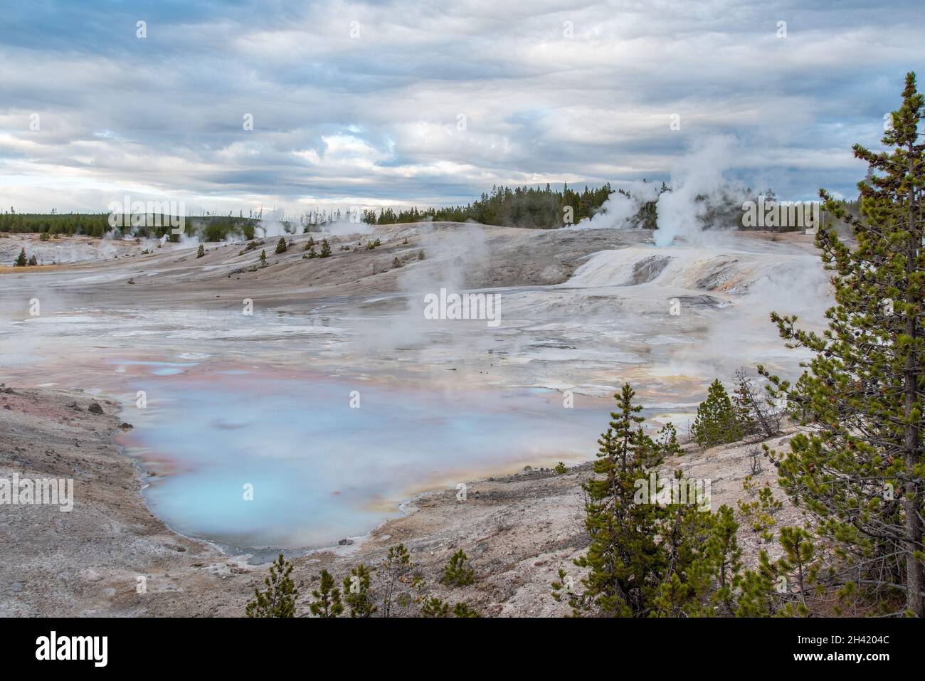 Steaming Mud Pod Area in famous Yellowstone National Park, USA Stock ...