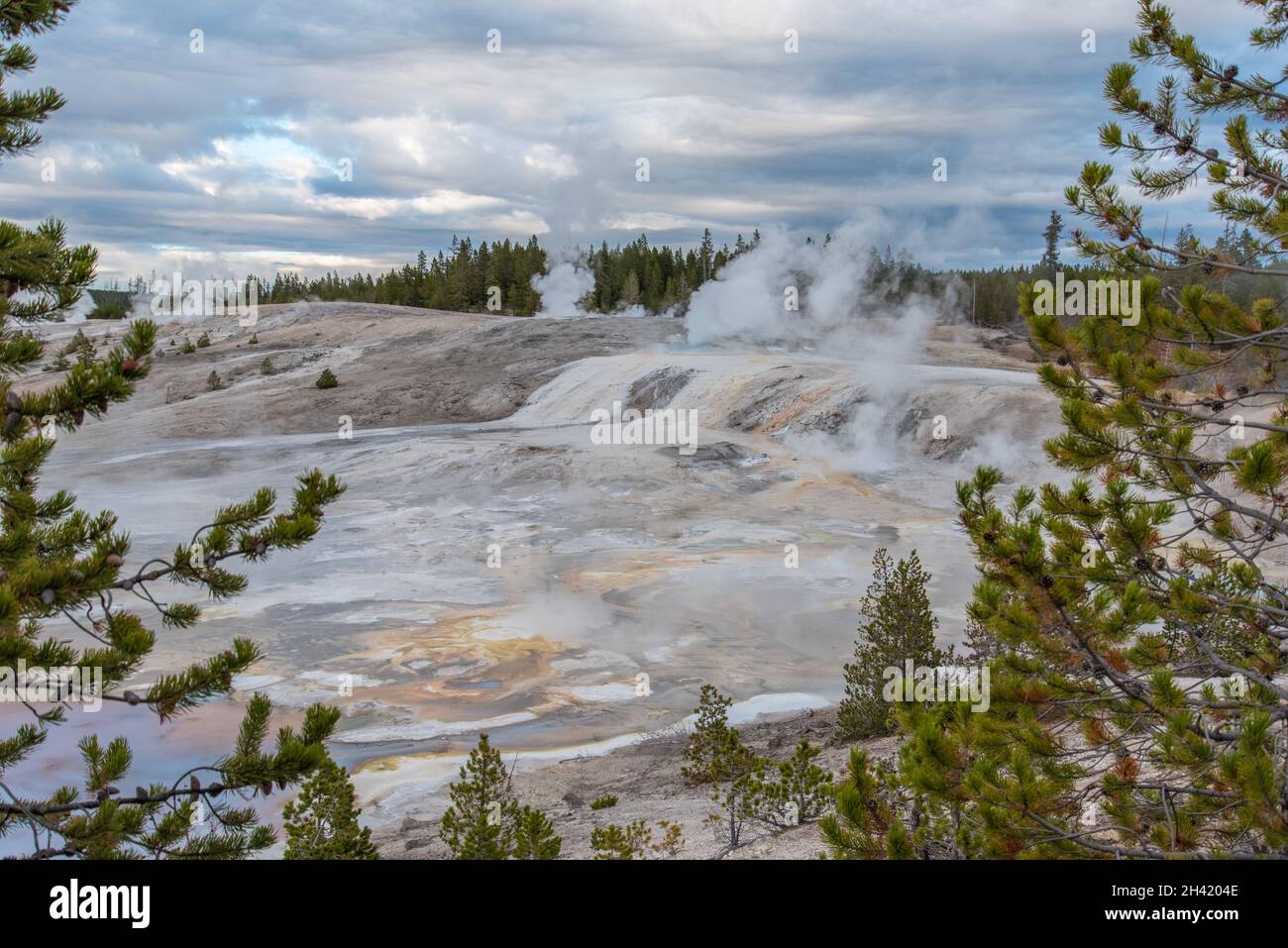 Steaming Mud Pod Area in famous Yellowstone National Park, USA Stock ...