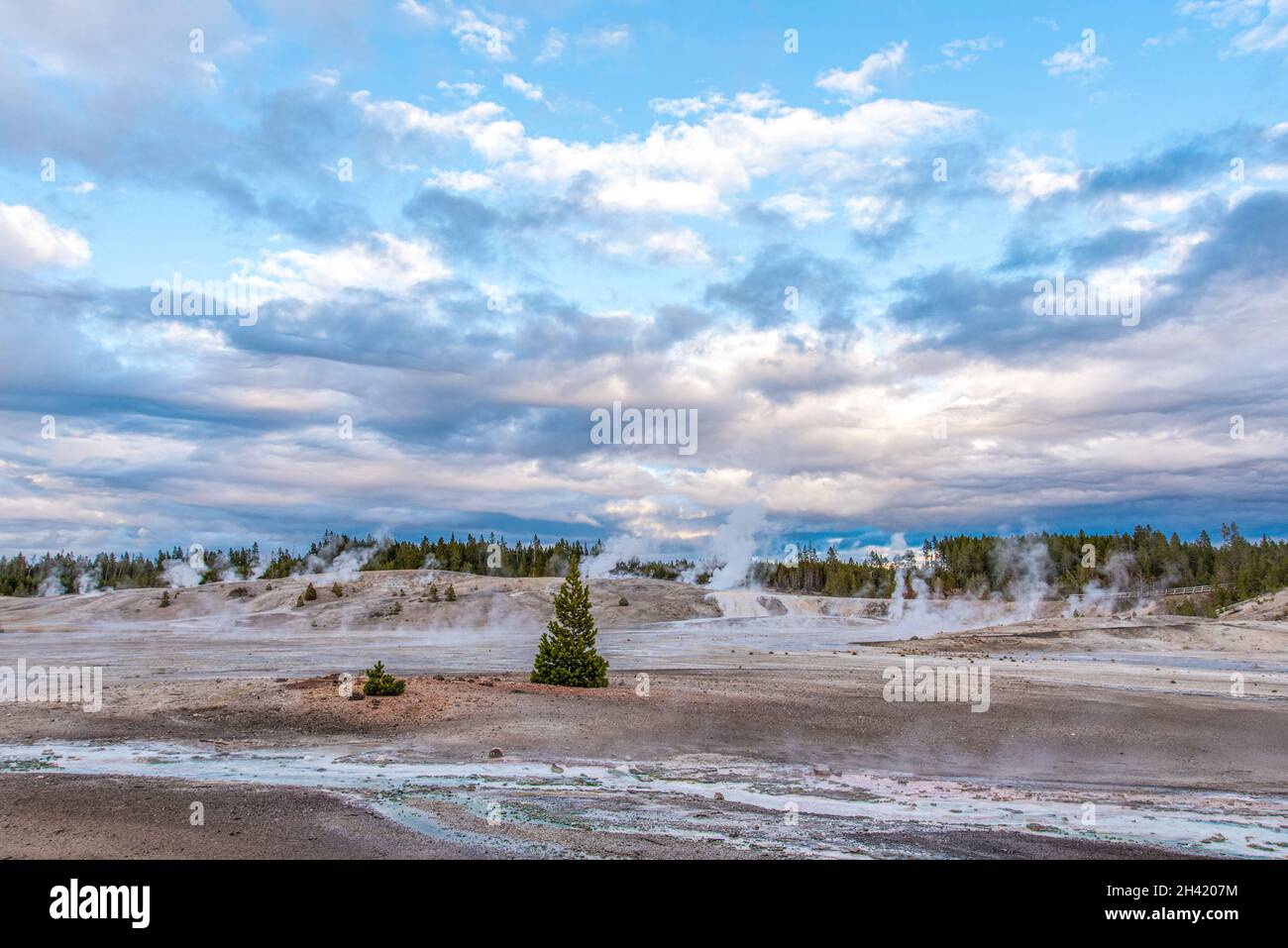 Steaming Mud Pod Area in famous Yellowstone National Park, USA Stock ...