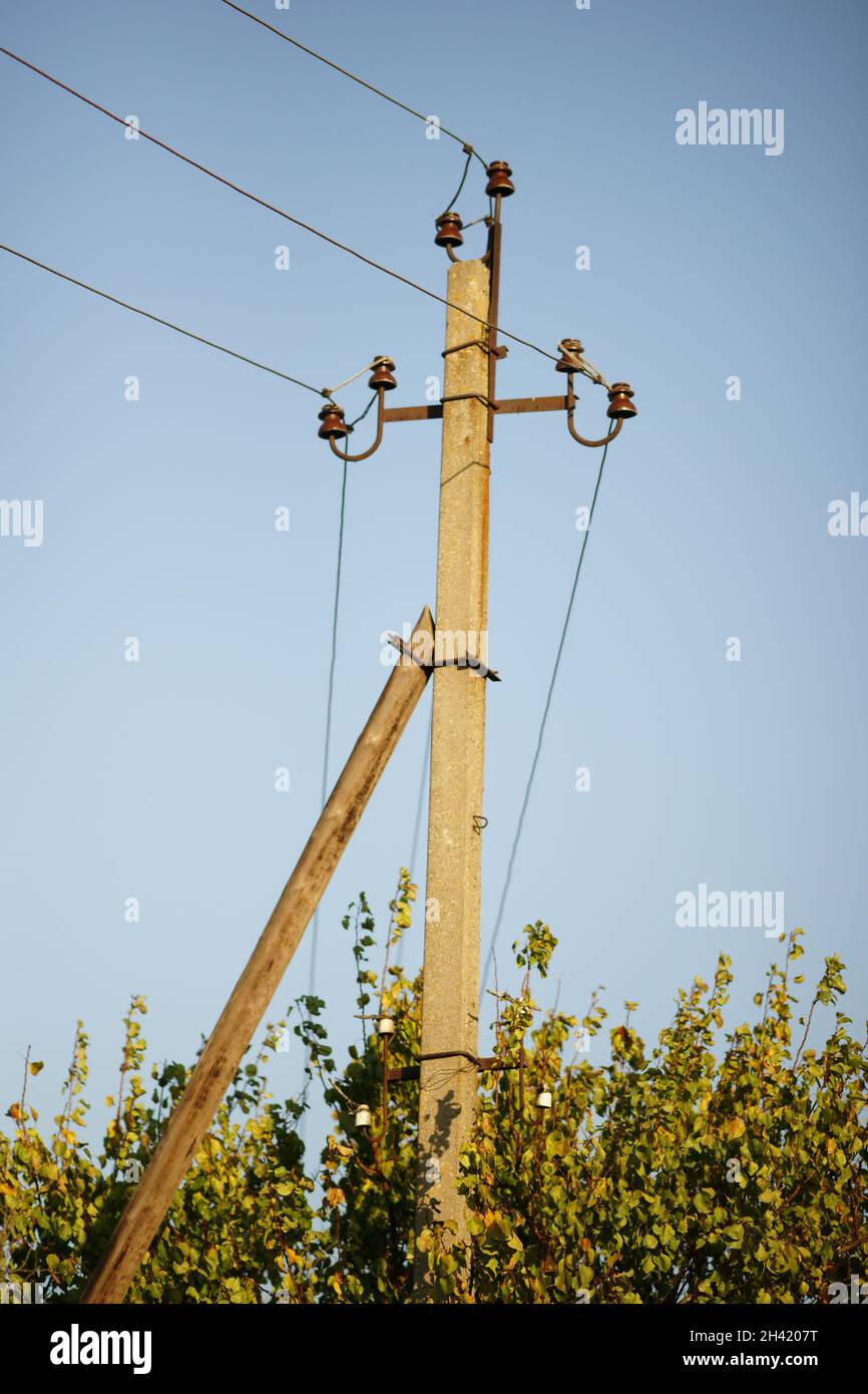 Electric pole with wires near tree in blue clear sky Stock Photo - Alamy