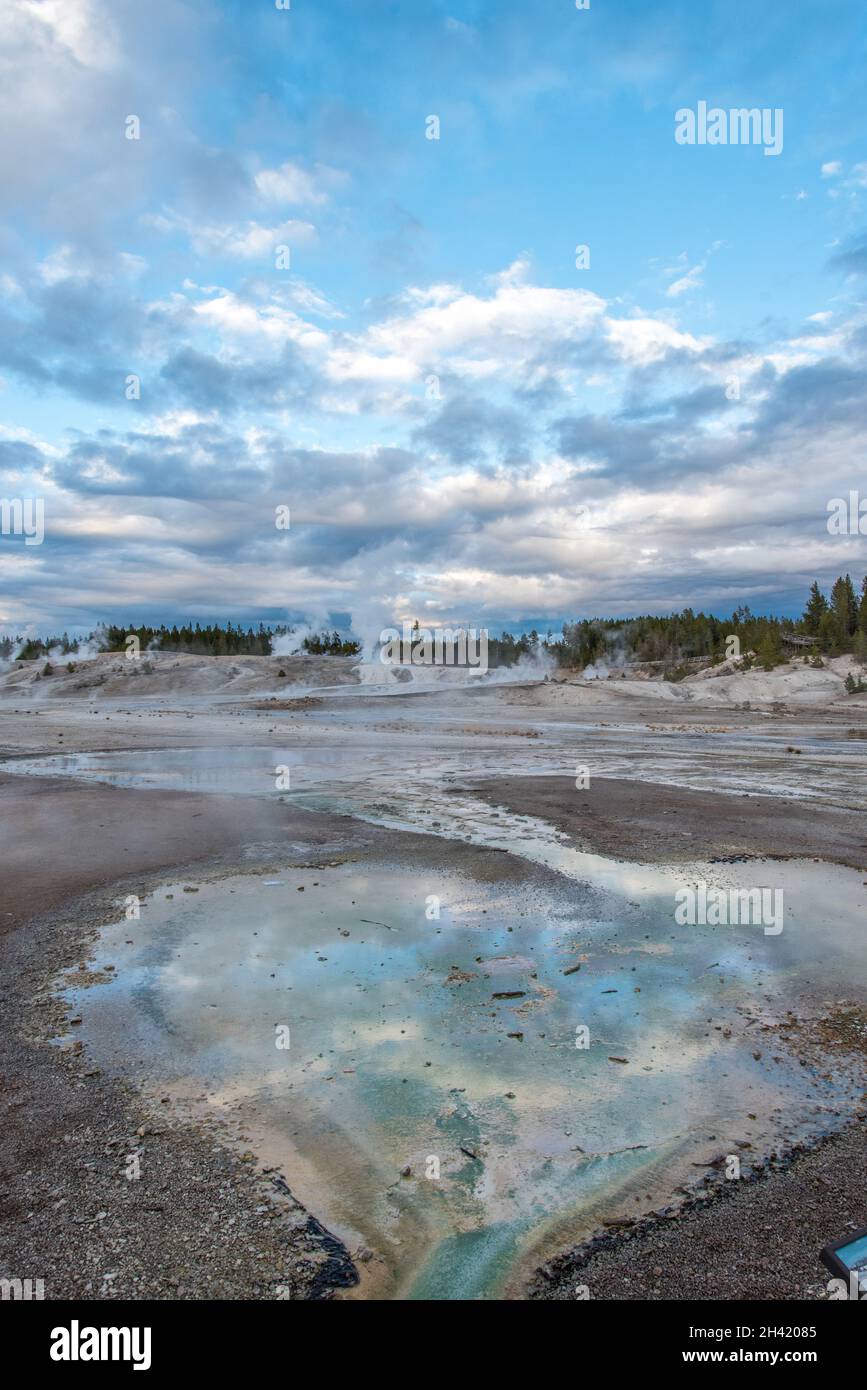 Steaming Mud Pod Area in famous Yellowstone National Park, USA Stock ...
