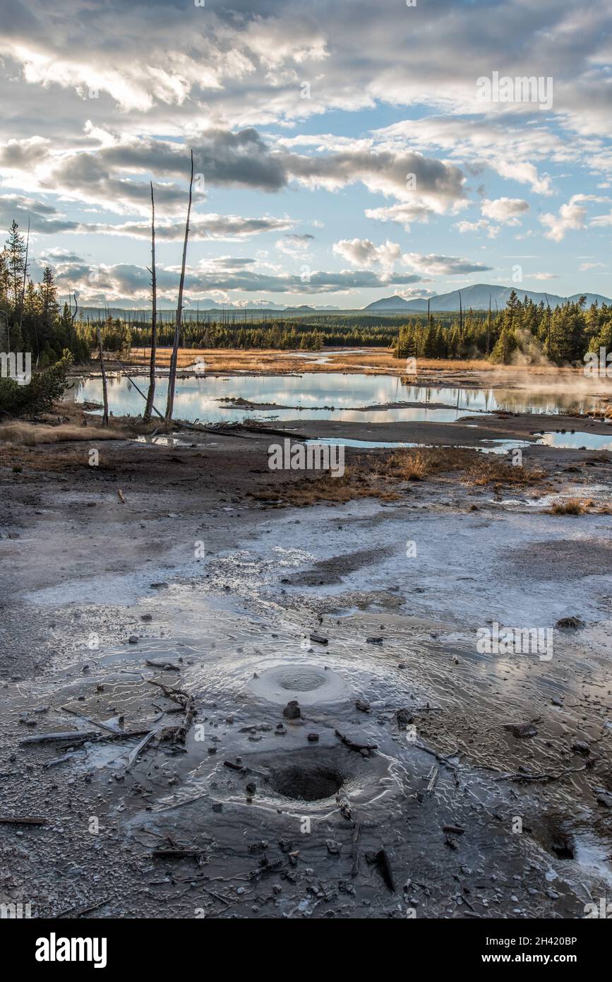Steaming Mud Pod Area in famous Yellowstone National Park, USA Stock ...