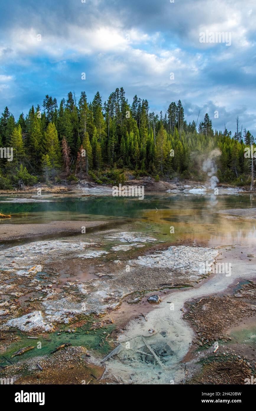 Steaming Mud Pod Area in famous Yellowstone National Park, USA Stock ...