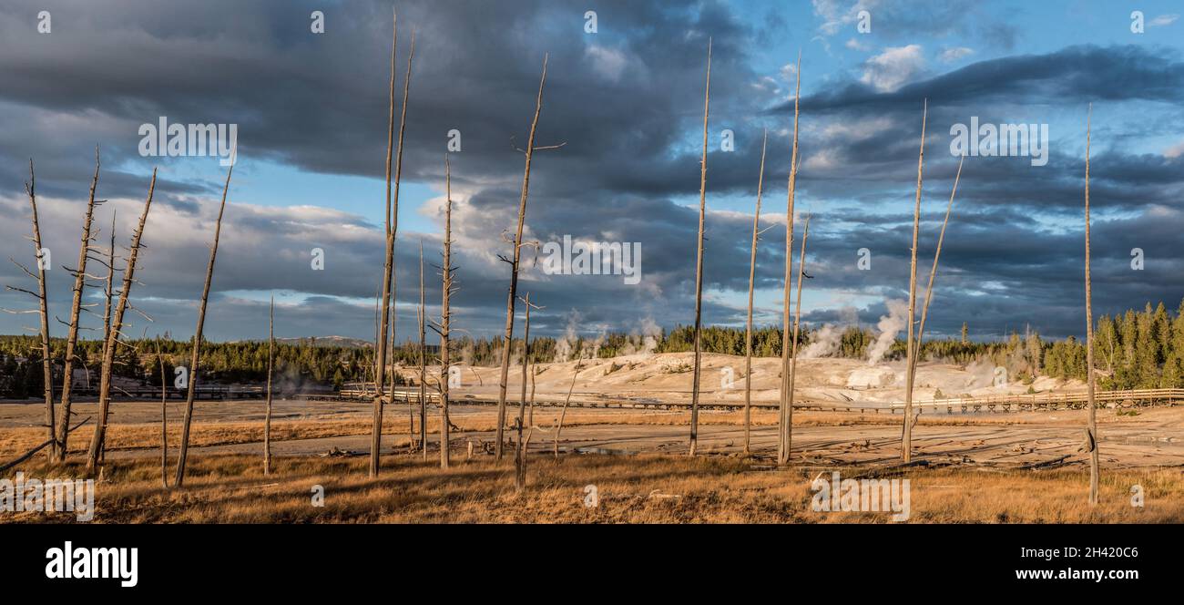 Steaming Mud Pod Area in famous Yellowstone National Park, USA Stock ...