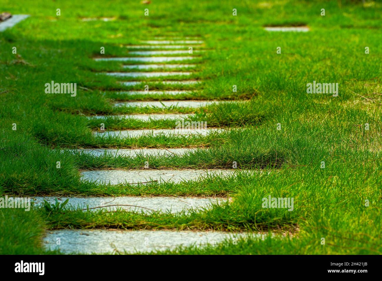 Park Walk Tiles Floor High Resolution Stock Photography and Images - Alamy