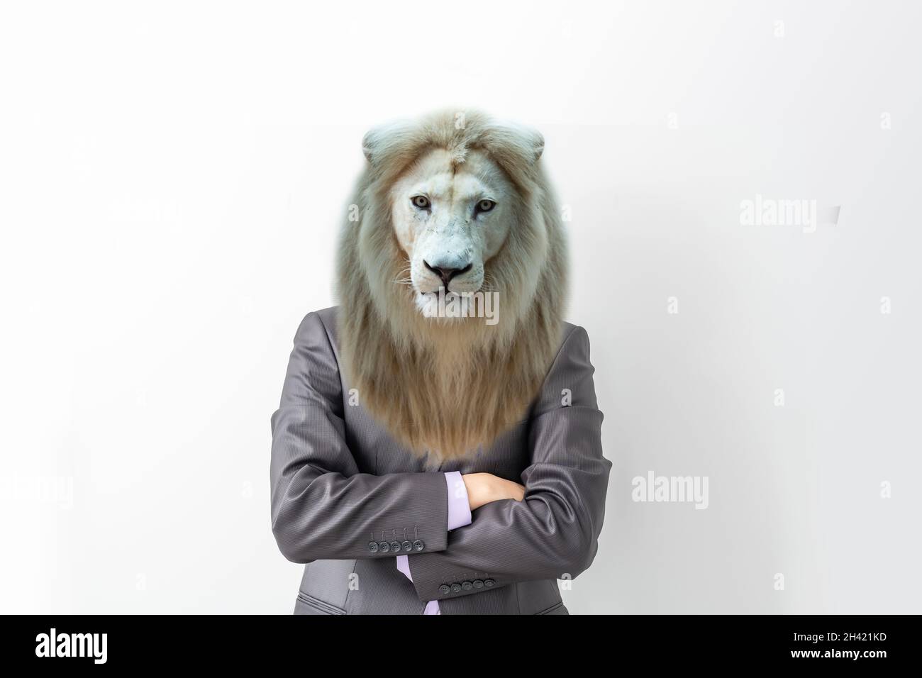 Lion man mask hi-res stock photography and images - Alamy