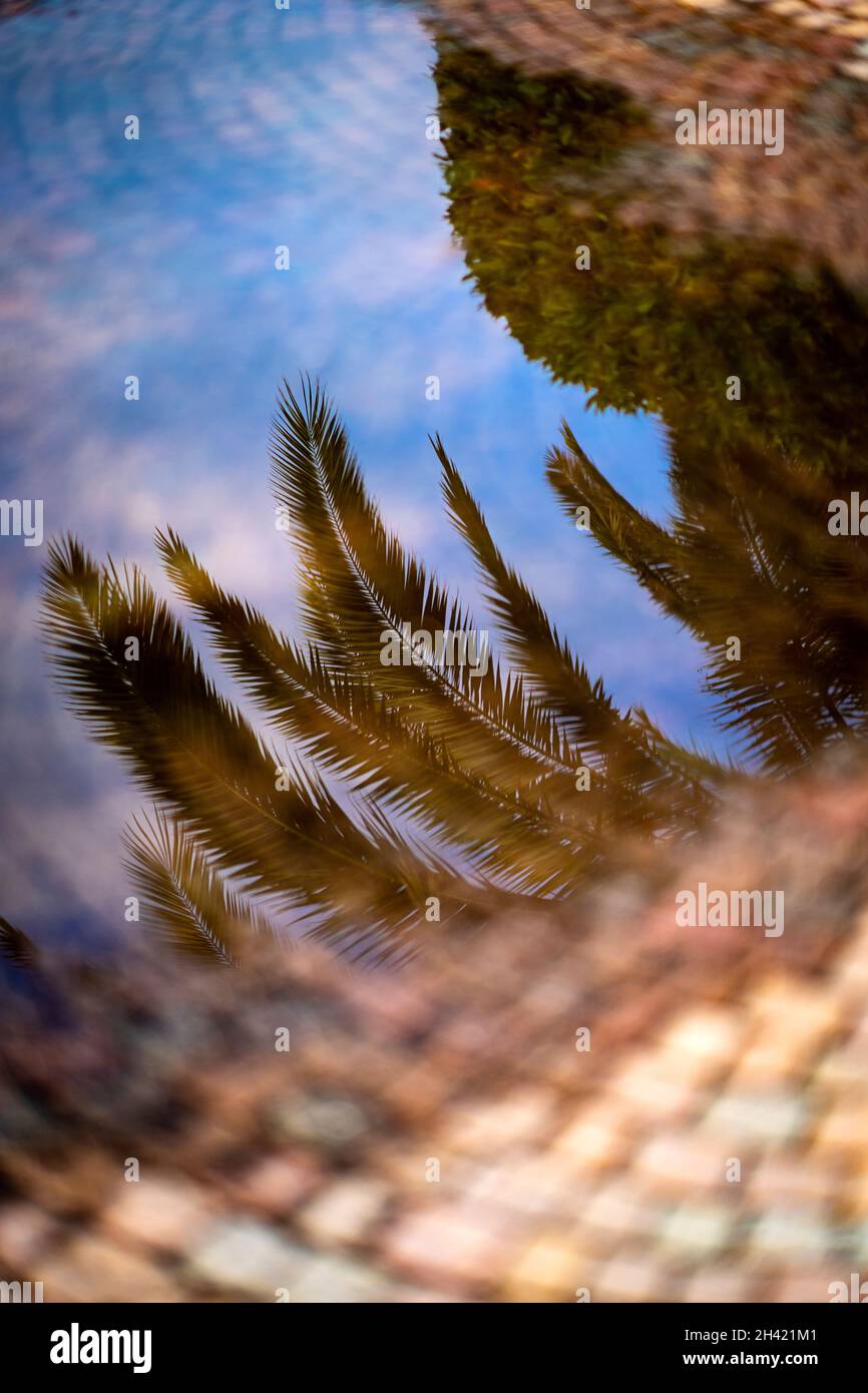 Puddle beach rain hi-res stock photography and images - Alamy