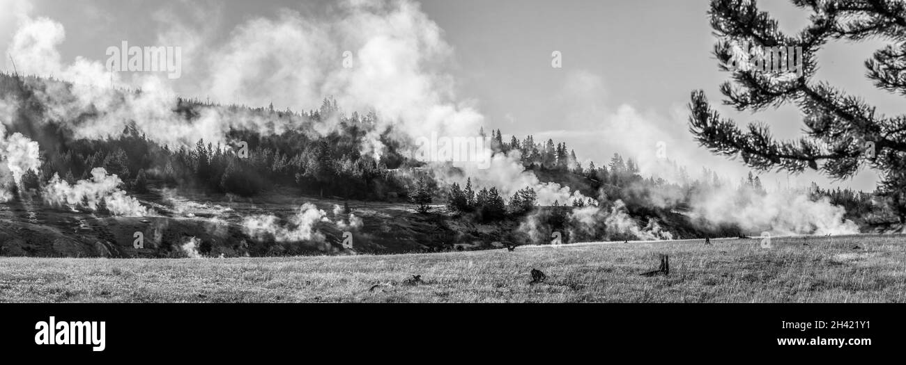 Steaming mud pots in the early morning in the Yellowstone National Park ...