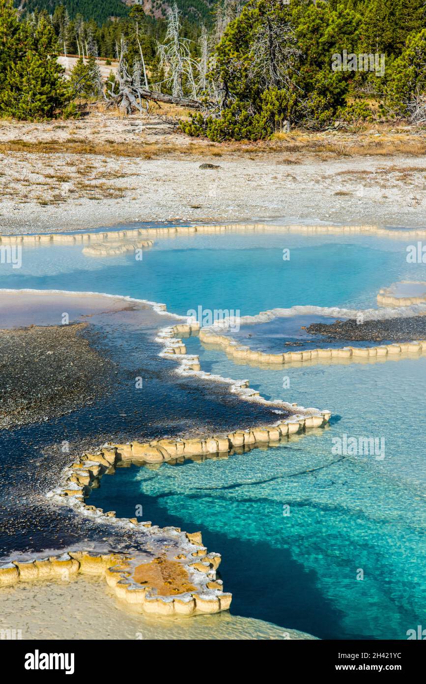 Yellowstone sulphur pools hi-res stock photography and images - Alamy