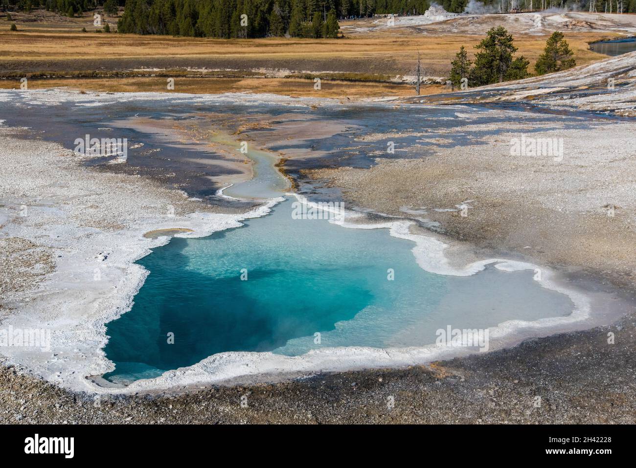 Great colorful pools of the Upper Geyser Basin of Yellowstone NP, USA ...