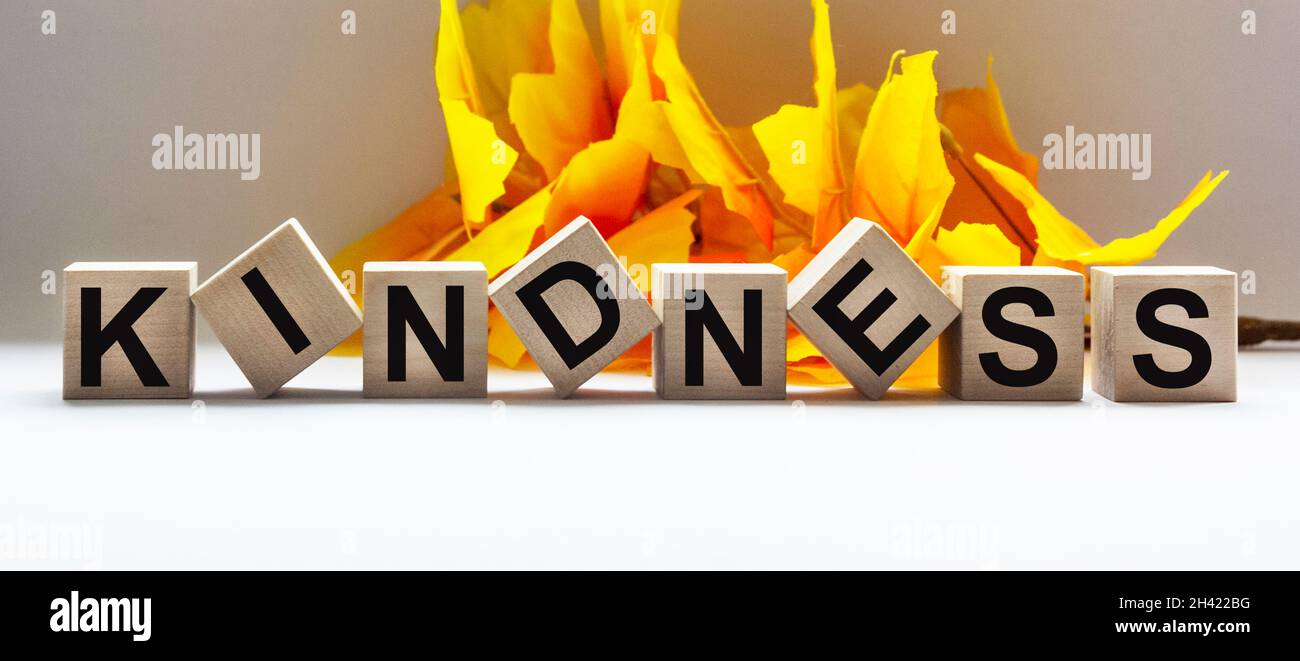 The word kindness made from wooden blocks on a table and a white ...