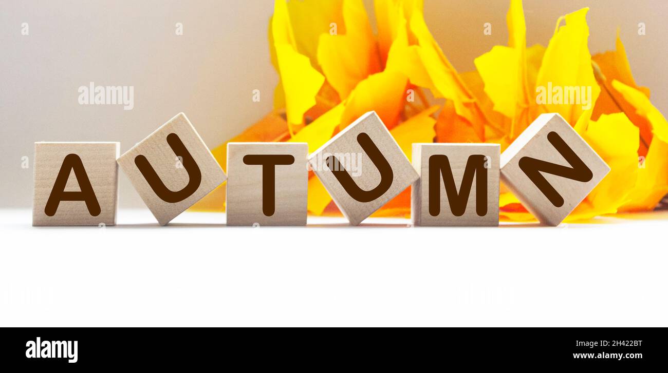 English maple tree cutout hi-res stock photography and images - Alamy