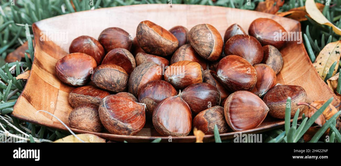 Top view of raw chestnuts in wooden dish surrounded with dry leaves ...