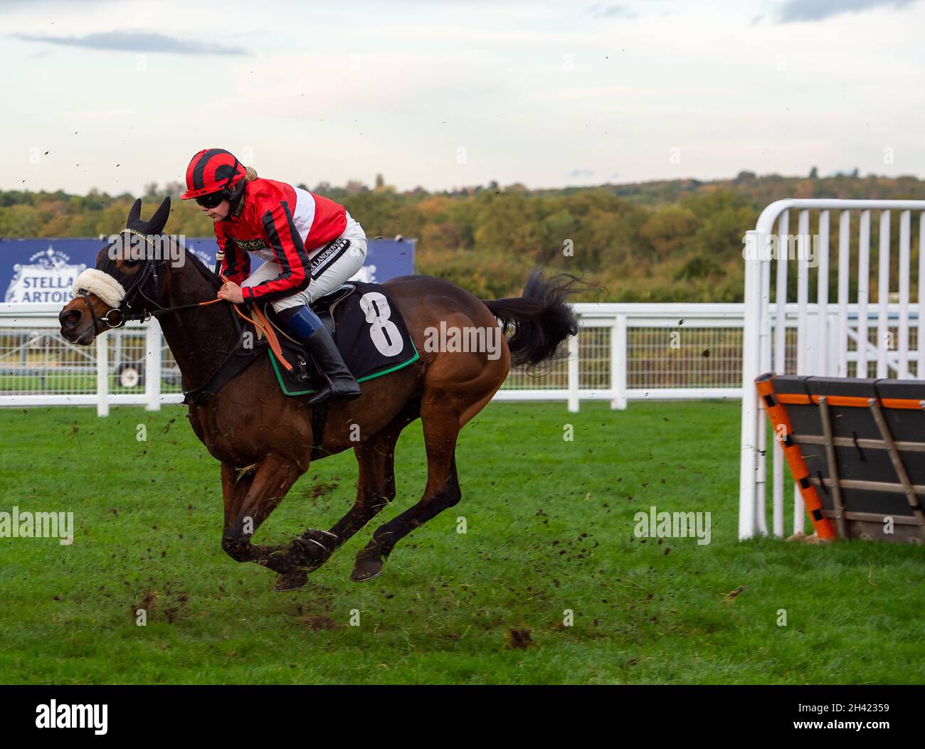 Lilly pinchin hi-res stock photography and images - Alamy