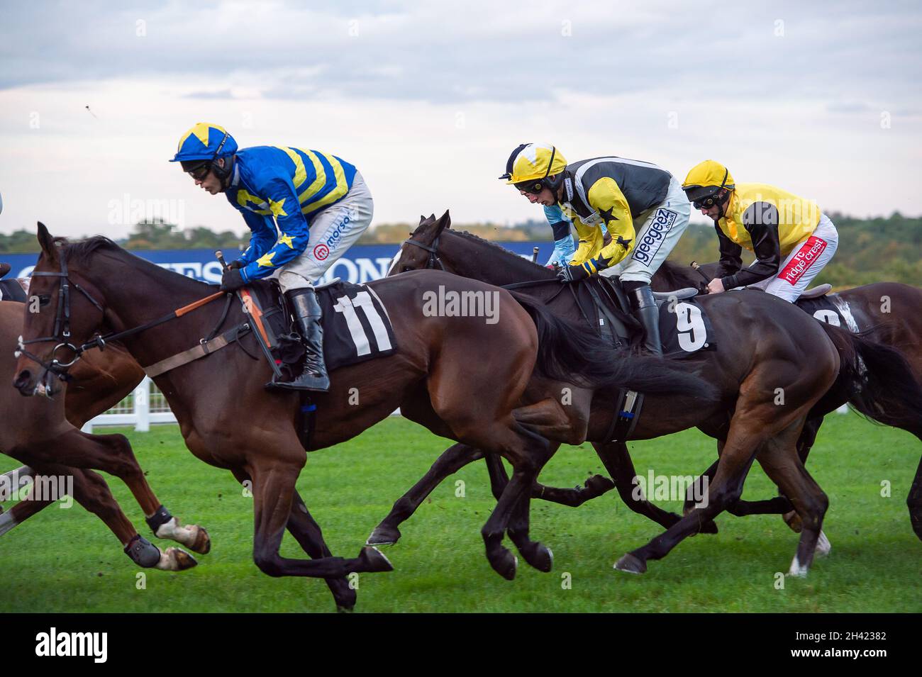 Ascot, Berkshire, UK. 30th October, 2021. Jockey Lorcan Williams riding ...