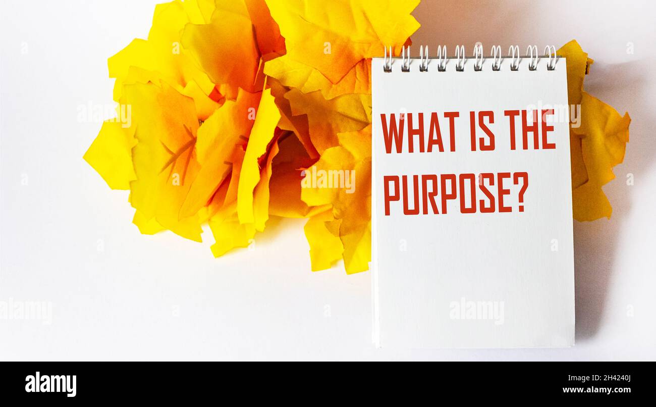 WHAT IS THE PURPOSE The text is written on a notebook and a white ...