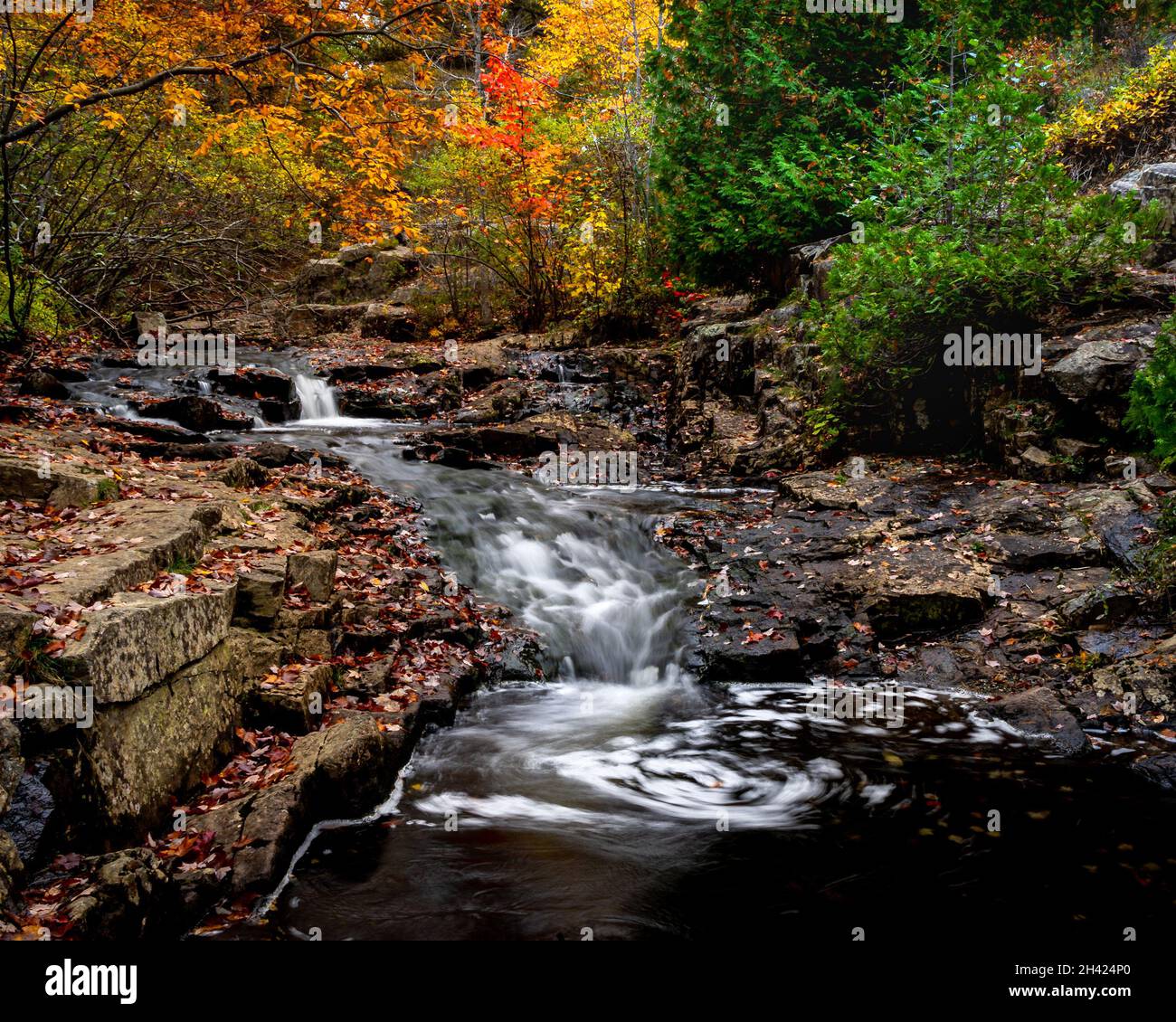 Acadia National Park, ME - USA - Oct. 15, 2021: Fall landscape long ...