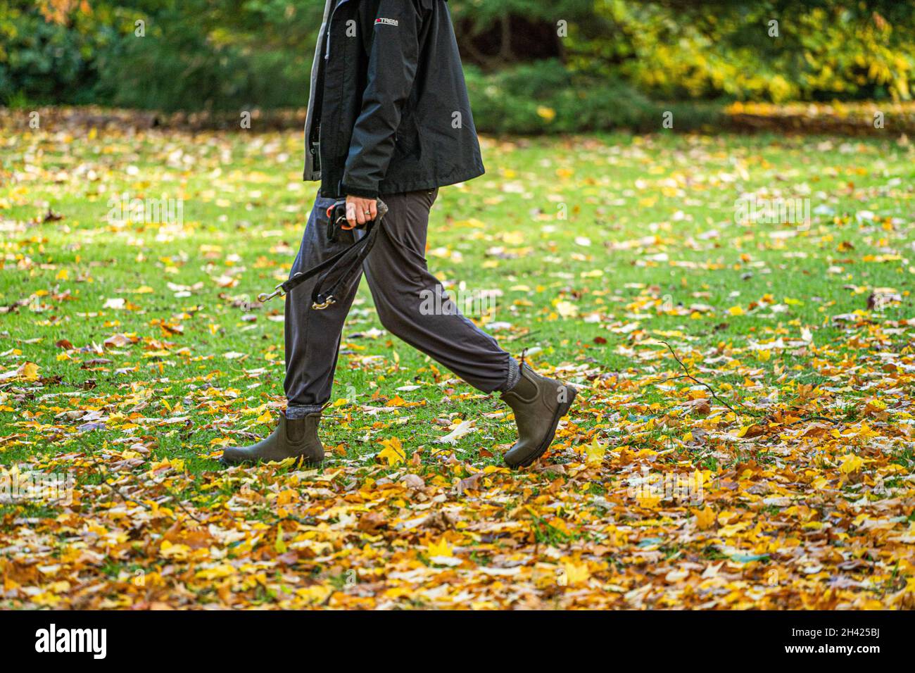 Fallene hi-res stock photography and images - Alamy