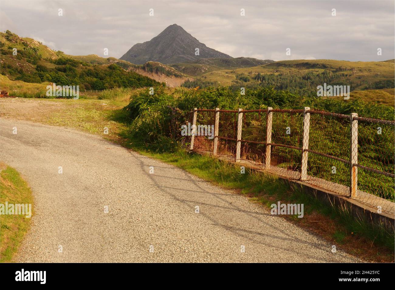 Reay estate forest hi-res stock photography and images - Alamy