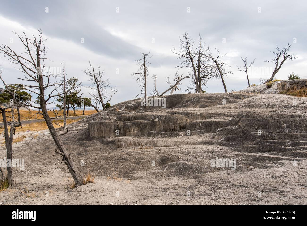 Scenic lifeless calcium terraces at Mammoth Hot Springs, Yellowstone ...