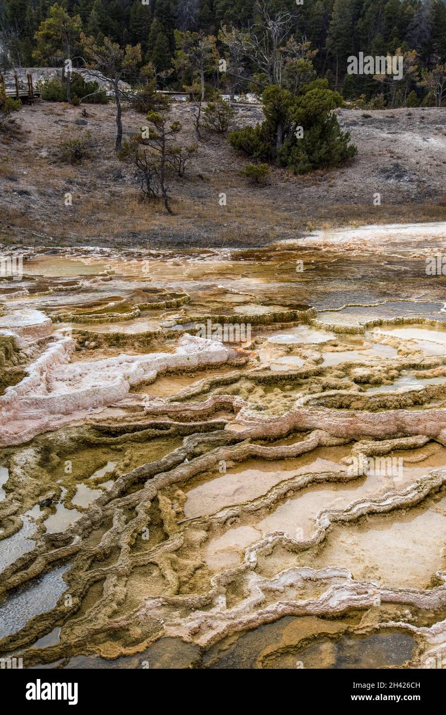 Scenic lifeless calcium terraces at Mammoth Hot Springs, Yellowstone ...