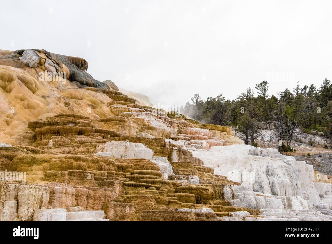 Scenic lifeless calcium terraces at Mammoth Hot Springs, Yellowstone ...