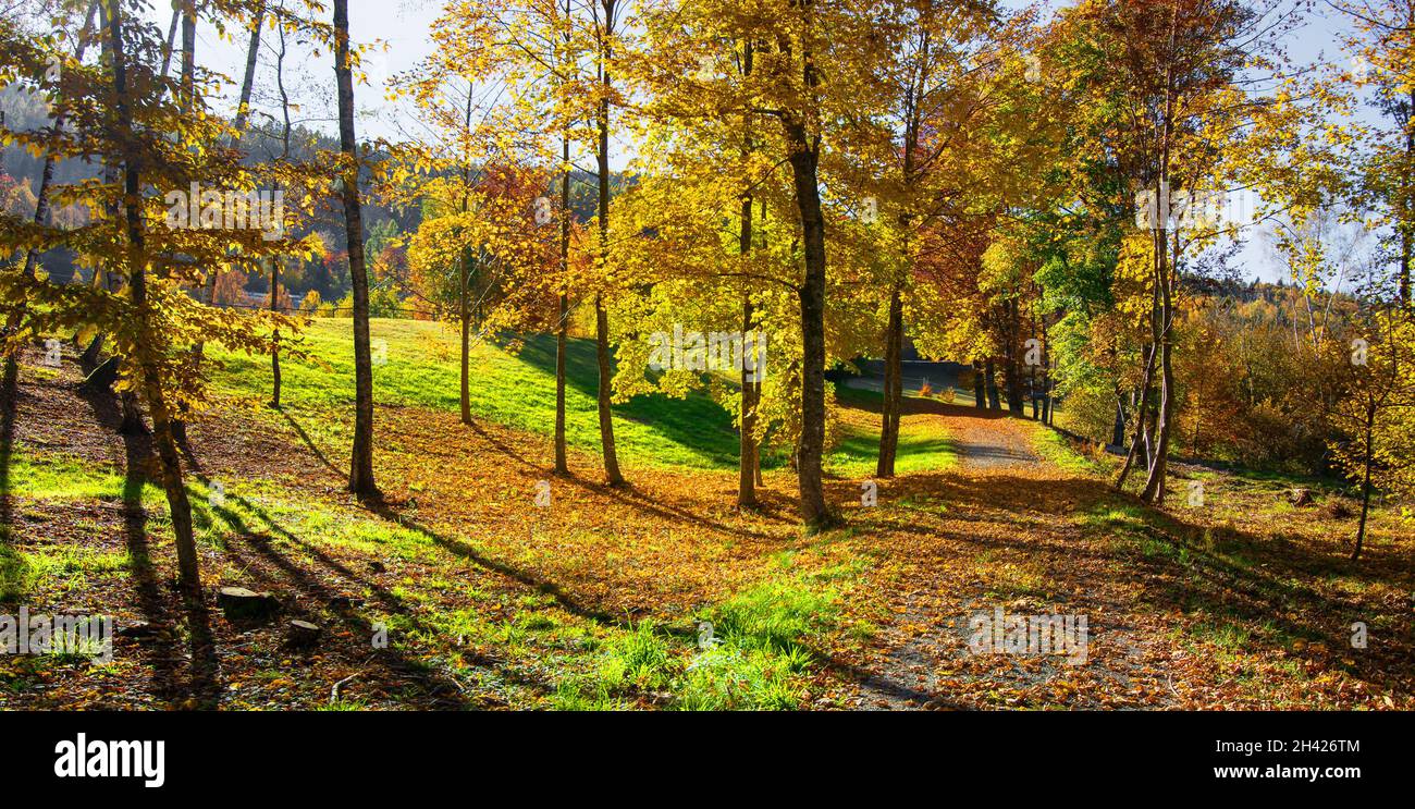 Montreal Lake Saskatchewan High Resolution Stock Photography and Images ...